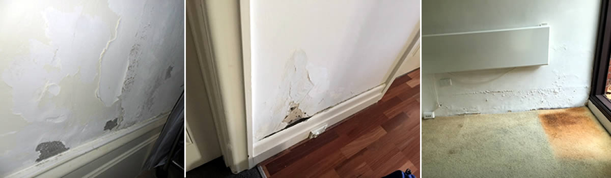 Damp Treatment, Damp Proofing, Moisture Solutions, mould Removal and ...